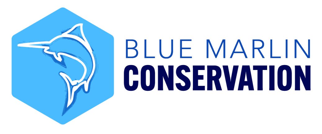 Blue Marlin Conservation Centre Internship Program (Indonesia) – The ...