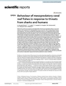 Behaviour of mesopredatory coral reef fishes in response to threats ...
